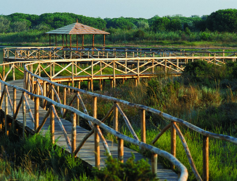 ESCURSIONI IN BARCA NEL PARCO DEL DELTA DEL PO – Tenuta Goro Veneto